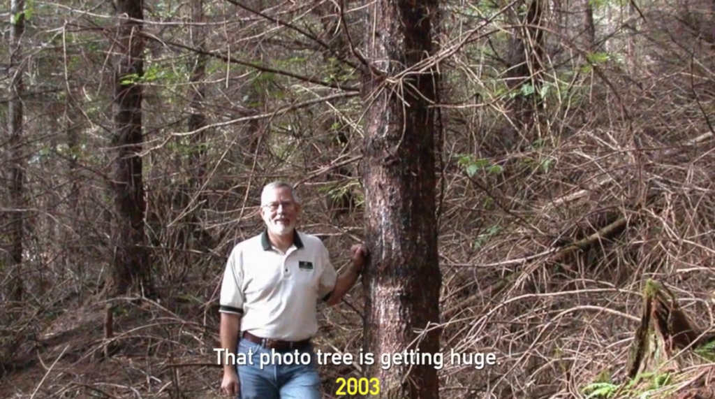 40 Year Forest Transformation