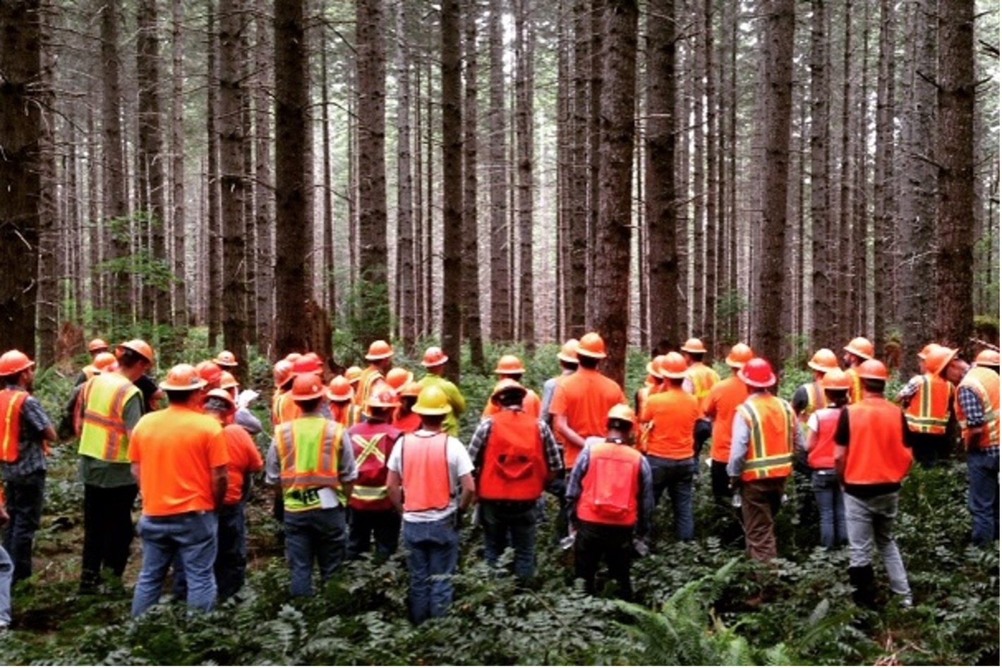 Wood products continue to grow Oregon’s economy – Oregon Forests Forever