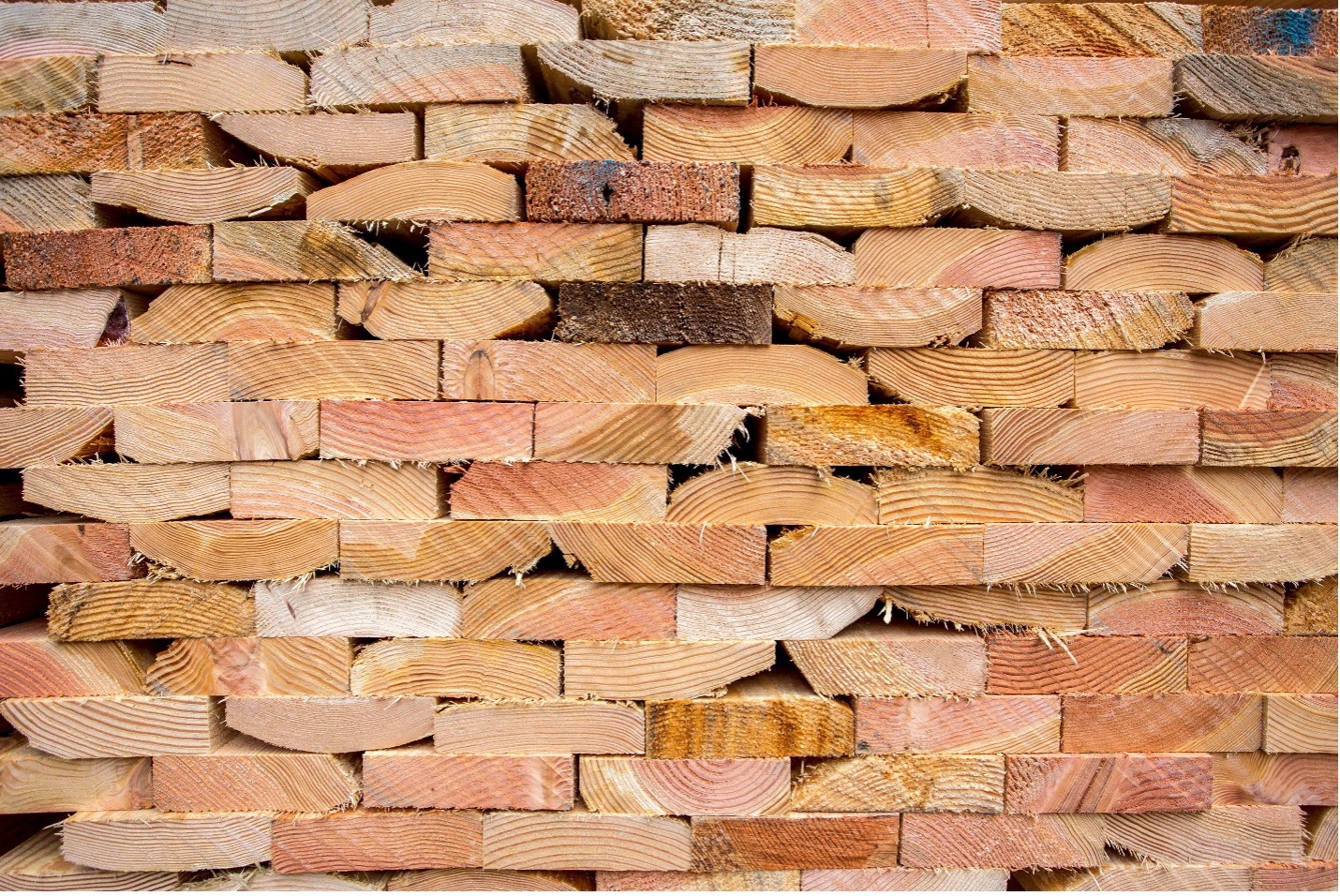 Did you know? - Oregon Forests Forever